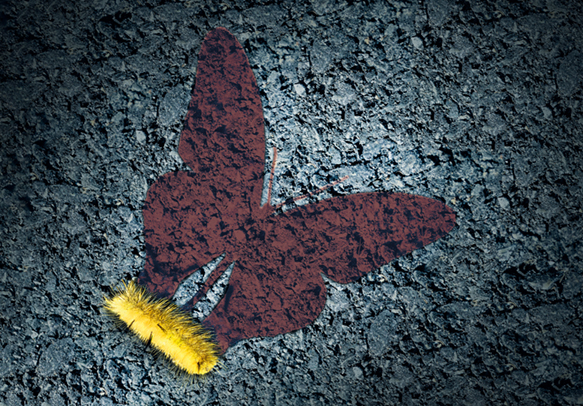 Innovation & Invention Yearbook - IAM