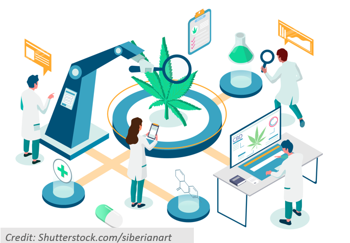 Marijuana use and employment law protections: a US state-by-state ...